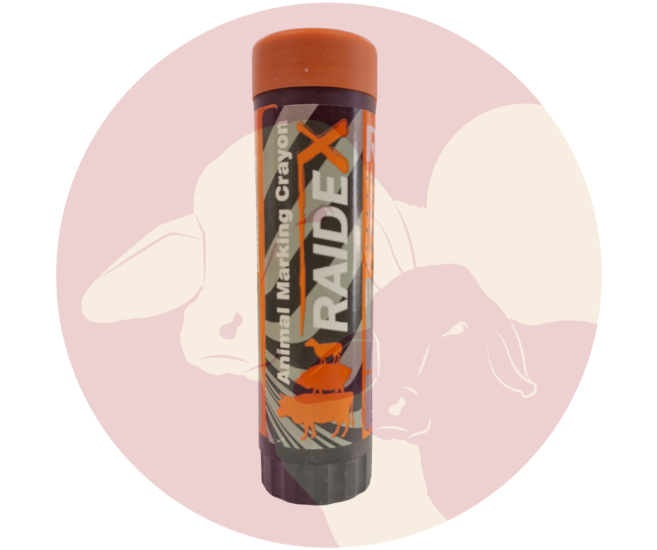 PROVEEDORA DE GENETICA E INSUMOS GANADEROS: Lo más nuevo 2023